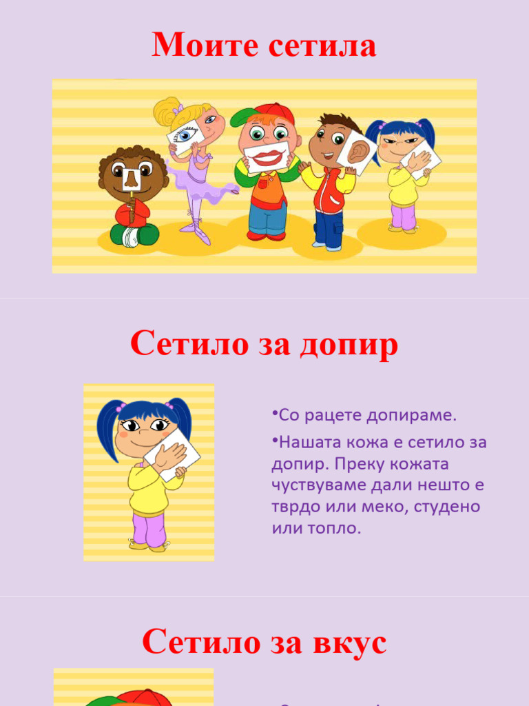 Moite Setila | PDF