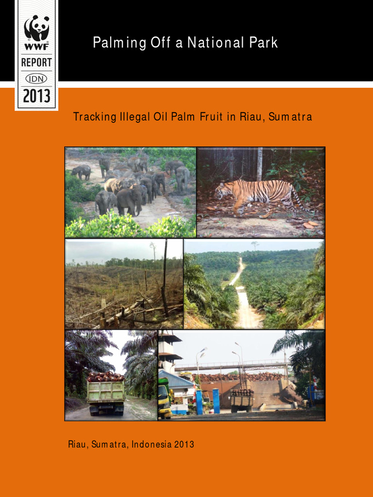 5m96dujgck Palming Off A National Park Report 2013 | PDF | Palm Oil