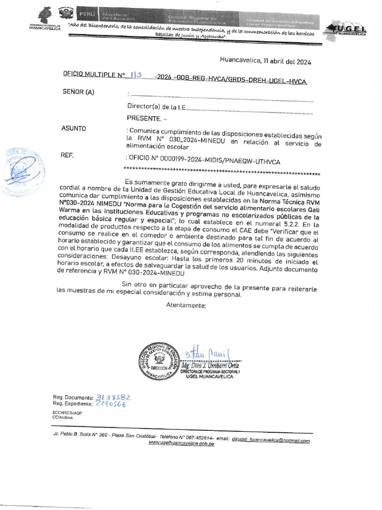 Oficio Mult. 113-2024 | PDF