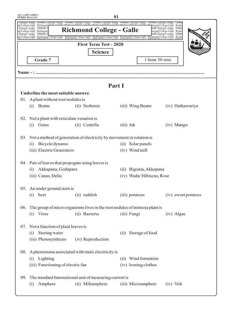 Grade 7 Science Exam - 2020 | PDF | Leaf | Water