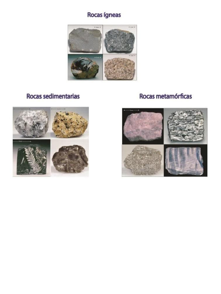 Rocas Igneas Sedimentarias Pdf
