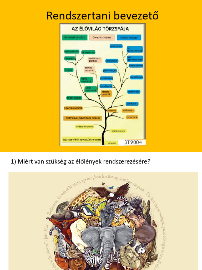 Rendszertan Bevezető | PDF
