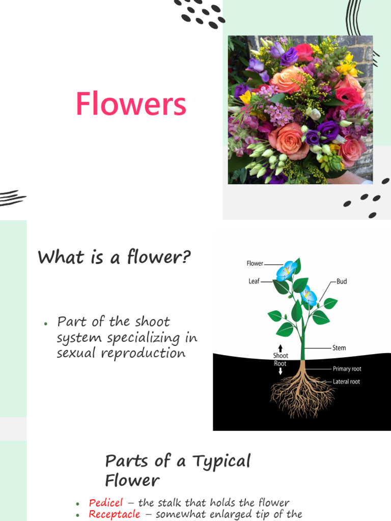 9 Flowers | PDF | Flowers | Horticultural Techniques