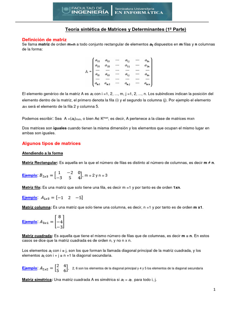 Teoría de Matrices (1º Parte) - TUI | PDF | Matriz (Matemáticas) | Funciones y mapeos
