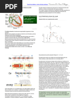 Fisiología Cardíaca: Inotropismo y Más | PDF
