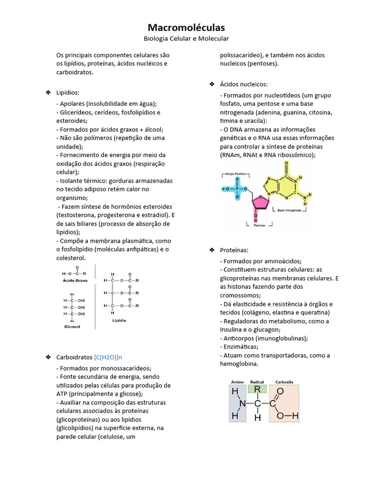 Macromoléculas | PDF | Célula (Biologia) | Lipídio