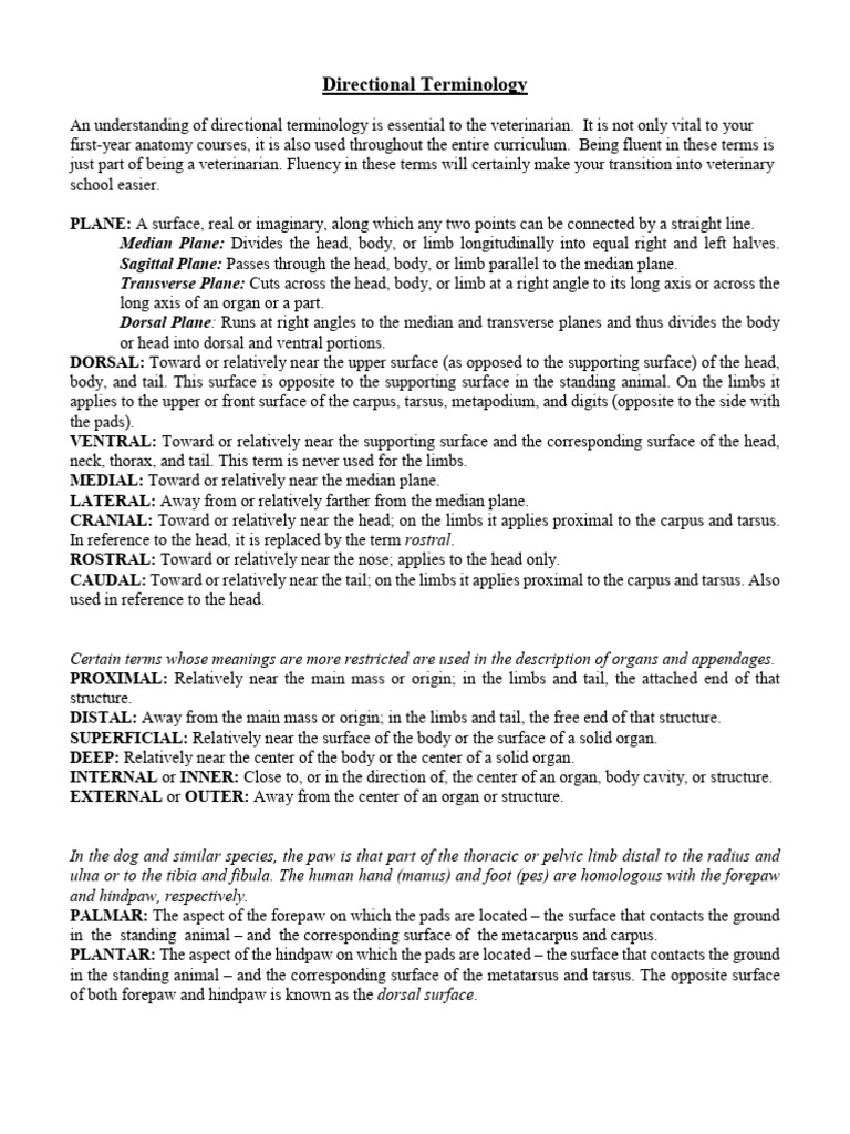 Directional Terminology | PDF | Anatomical Terms Of Motion | Anatomical ...