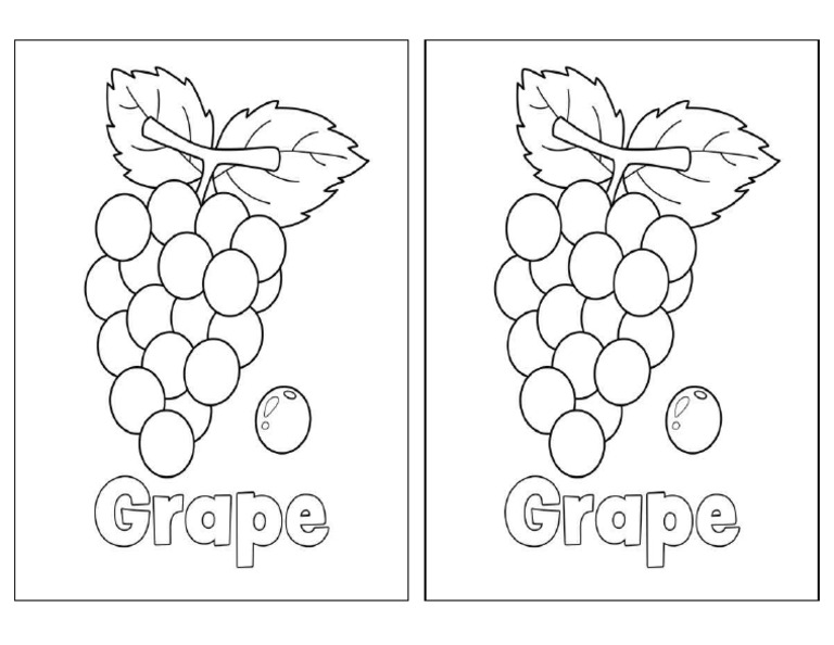 Grape | PDF