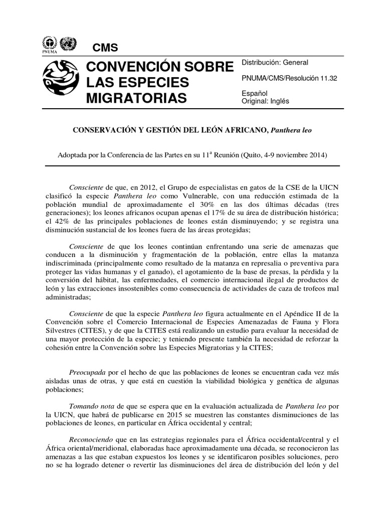Res 11 32 León Africano Panthera Leo S | PDF | León | Cita