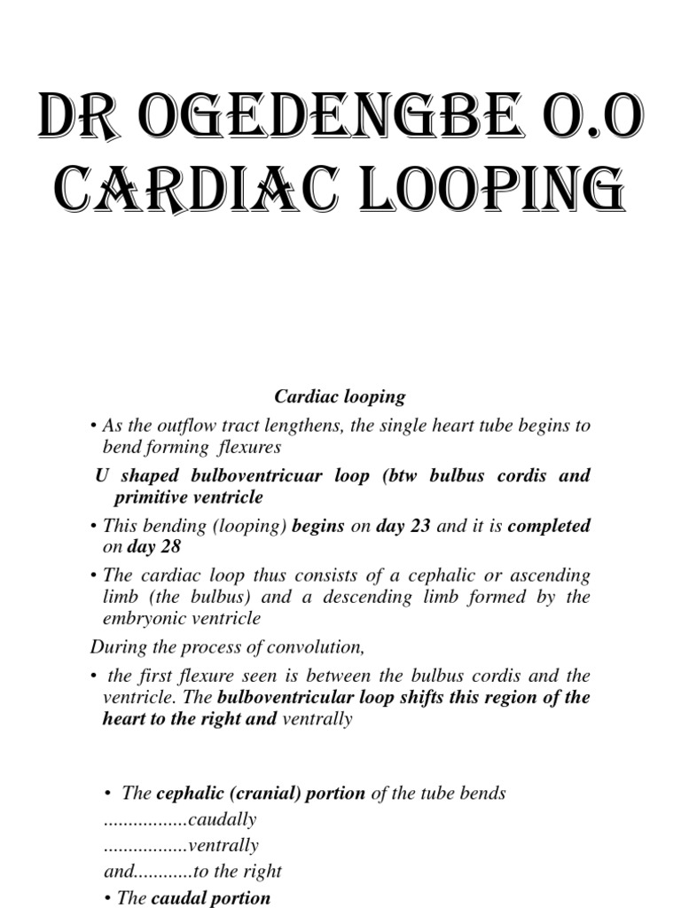Cardiac Looping | PDF