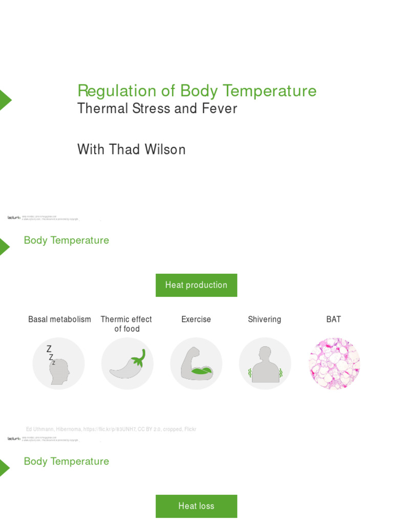 Slides 06 Bodytemperatureregulation Generalphysiology Pdf