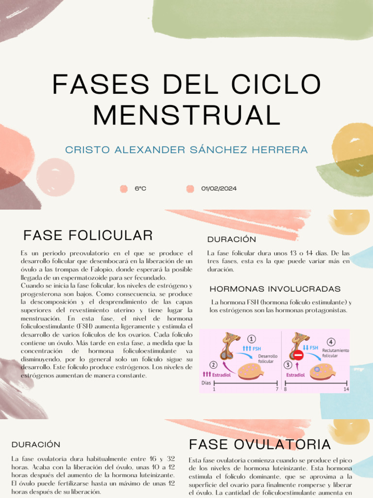 FASES DEL CICLO MENSTRUAL | PDF | Ciclo menstrual | Hormona luteinizante