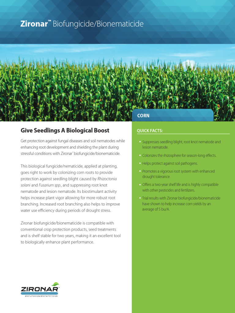 23-FMC-3191 Zironar Corn Fact Sheet - 012523 - VF | PDF | Fungicide | Maize
