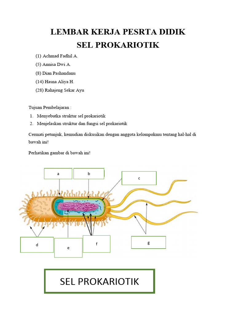 LKPD Sel Prokariotik Kelompok 6 Xi-2 | PDF