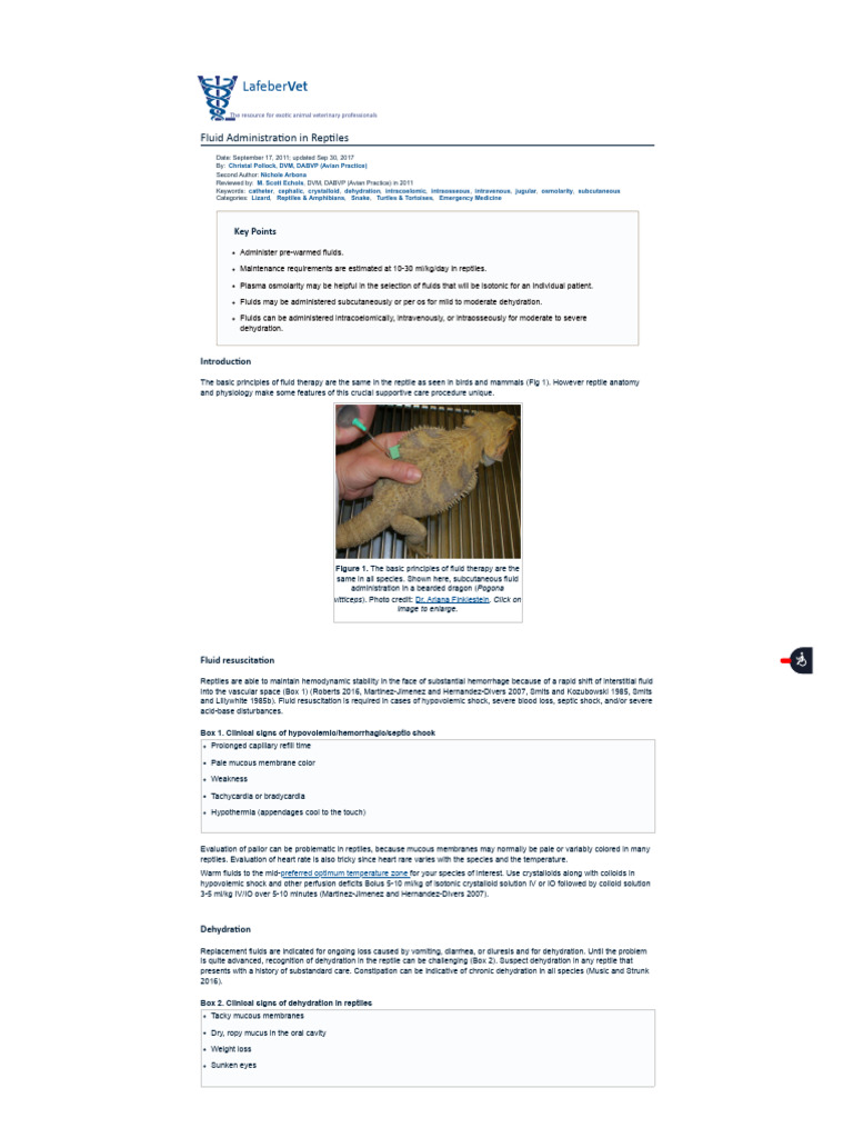 Fluid Administration in Reptiles - LafeberVet | PDF | Dehydration ...