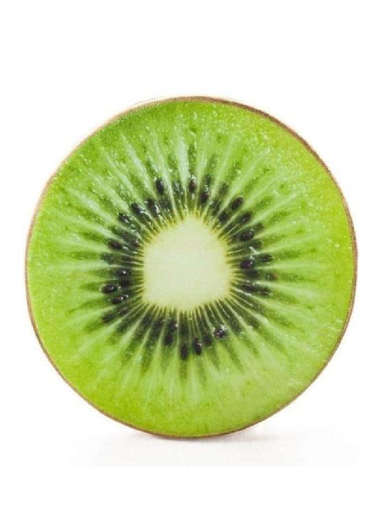 Frutas Y Verduras Pdf