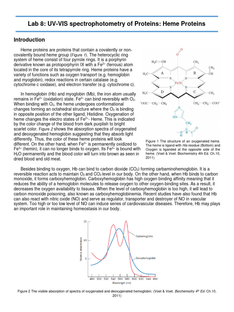 Lab 8 Heme Proteins Fa2023 | PDF | Hemoglobin | Cytochrome