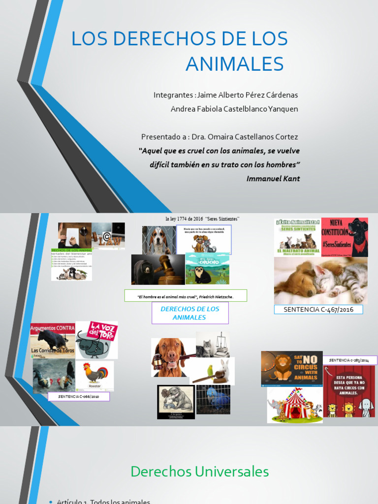 LOS DERECHOS DE LOS ANIMALES Geti | PDF | Documentos legales | Gobierno