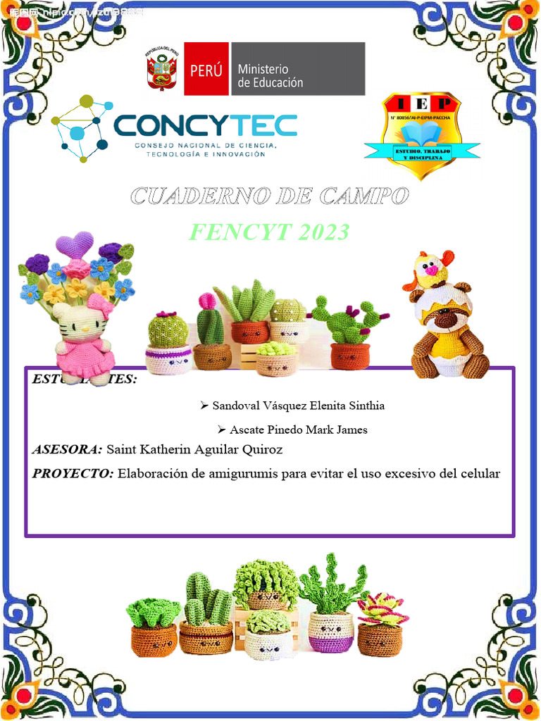 Cuaderno de Campo - Fencyt 2023-I.e 80856-La Paccha - 070251 | PDF