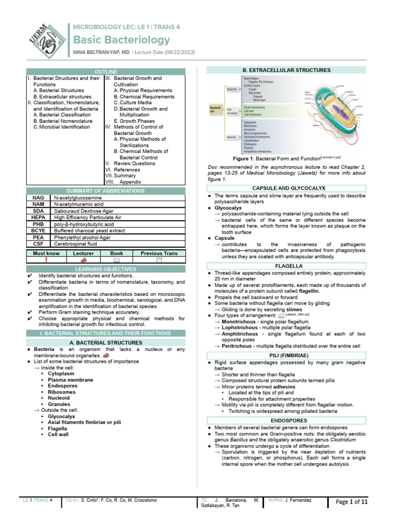 (MIC-LEC) - 1.04-Basic Bacteriology-Yap-v1 | PDF | Growth Medium | Bacteria