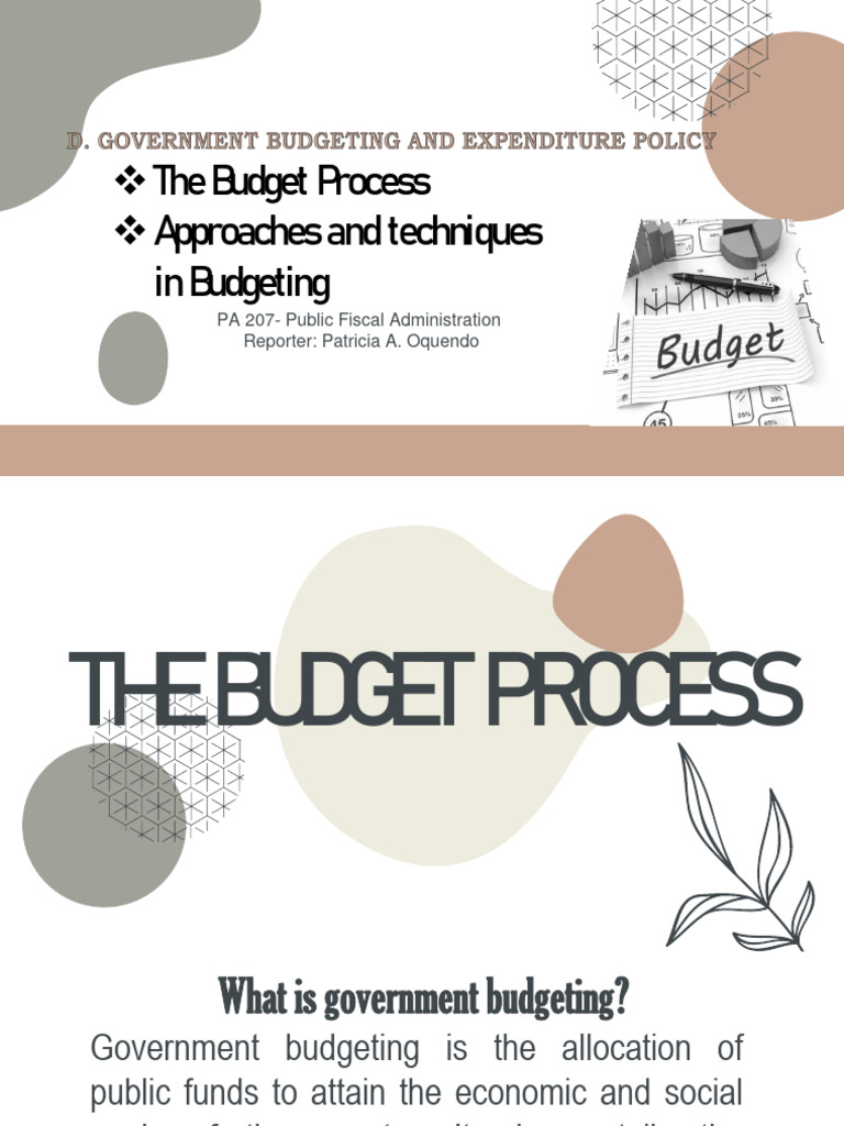 Government Budgeting Process Overview | PDF | Budget | Audit