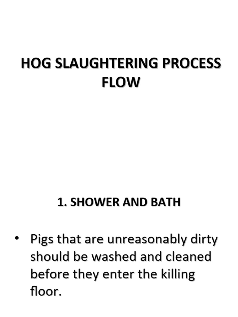 Bat Hog Slaughtering Process Flow | PDF