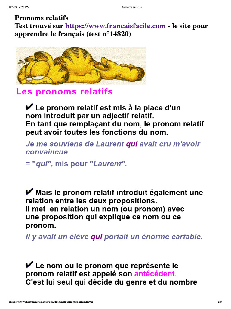 Guide des Pronoms Relatifs en Français | PDF | Pronom | Genre grammatical