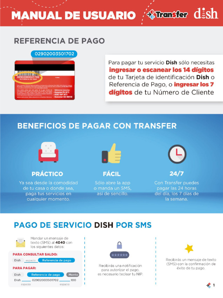 Manual Dish | PDF