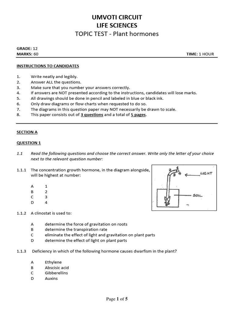 TOPIC Test Plant Hormones | PDF | Plant Hormone | Auxin