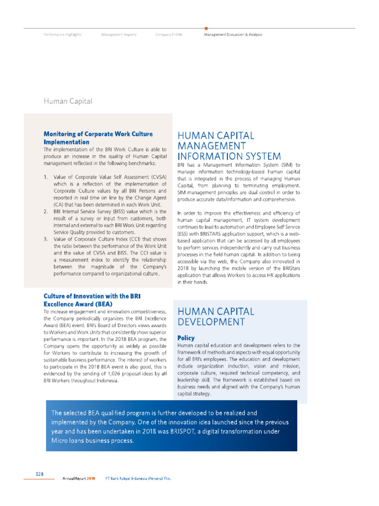 BRI - TRAINING & DEVELOPMENT PROGRAM | PDF