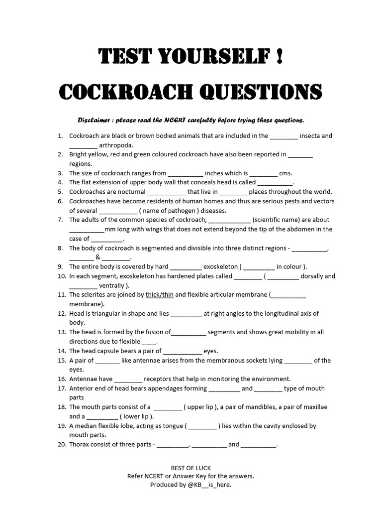Cockroach Questions 1 | PDF | Sex Organ | Gastrointestinal Tract