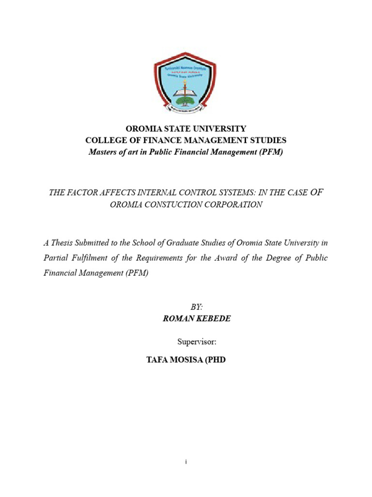 Roman Thesis - FINAL EDIT | PDF | Internal Control | Audit