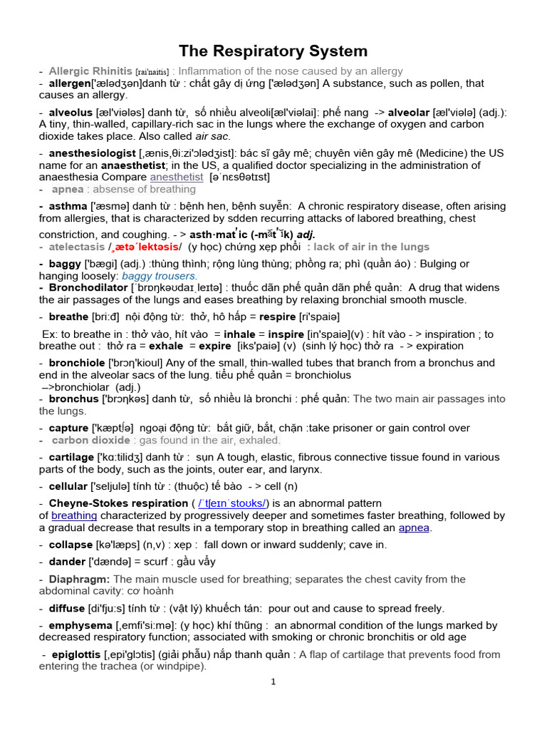 vocabulary of the respiratory system | PDF | Lung | Respiratory System