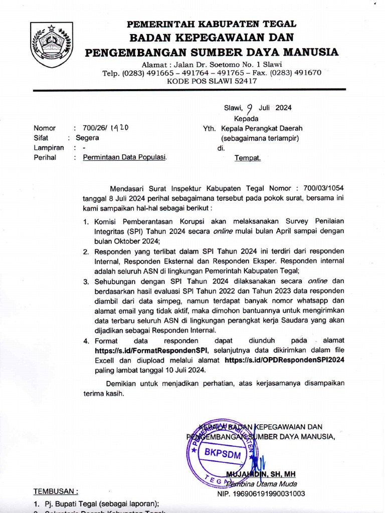 Permintaan Data Responden SPI 2024 | PDF