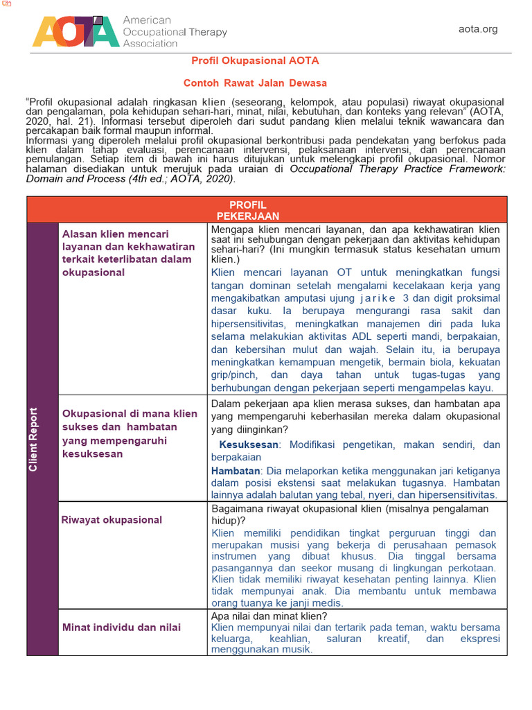 Profil Okupasional Klien Terapi OT | PDF
