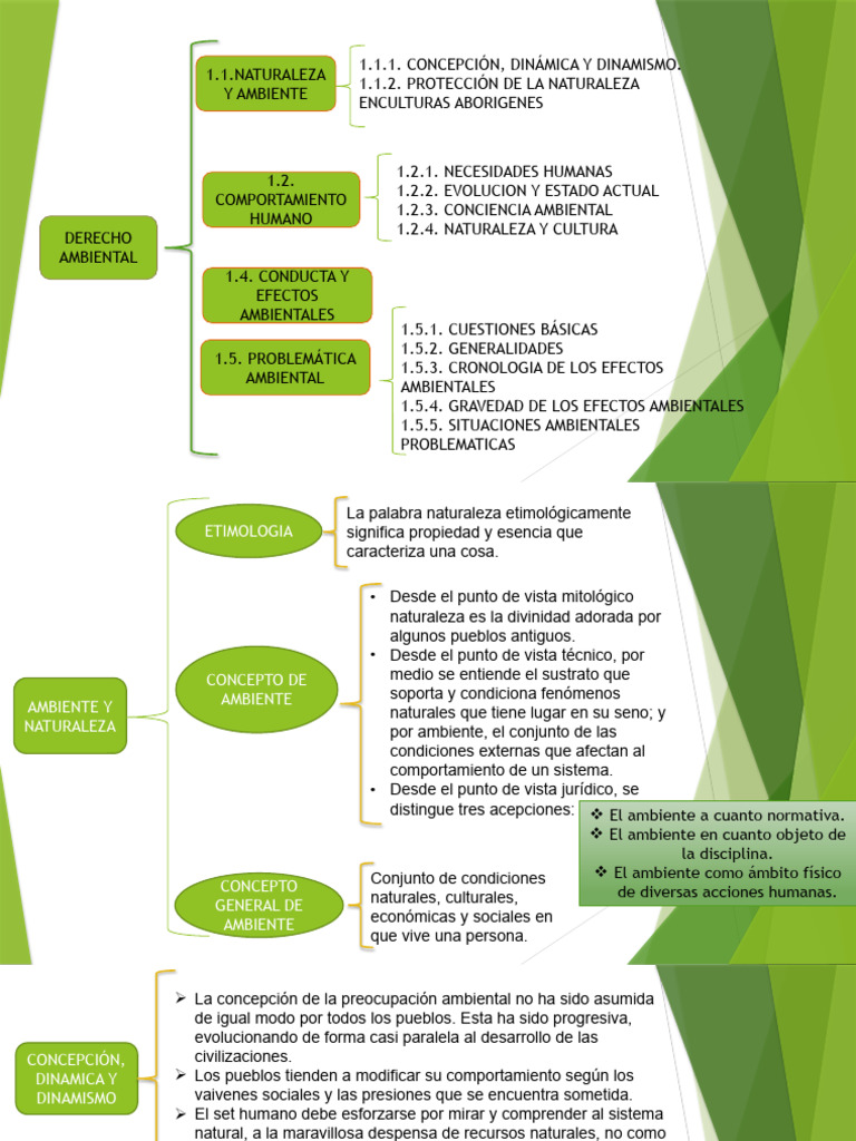 Cuadros Sinoptico-Derecho Ambiental | PDF | Entorno natural | Naturaleza