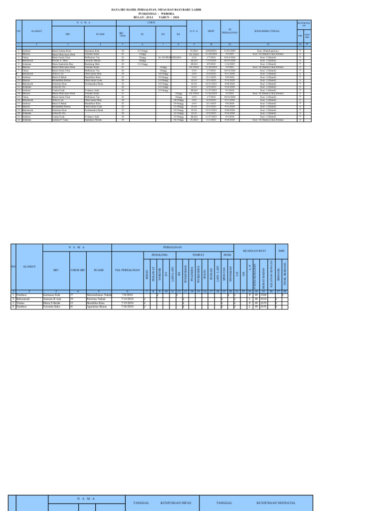 Pemantauan Bumil Bulin Bufas Bbl2m | PDF