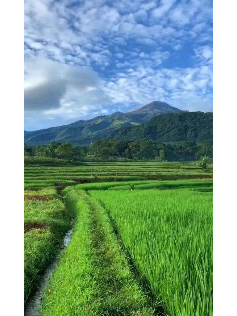 Indahnya Alam Gunung Sawah | PDF