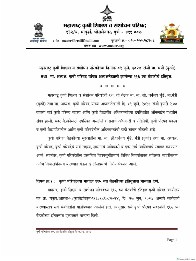 116 Meeting Minutes Final 1 | PDF