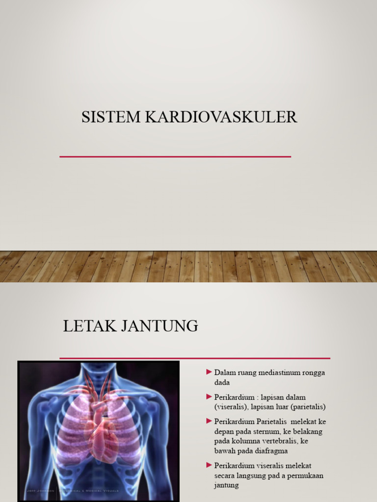 Sistem Kardiovaskuler | PDF