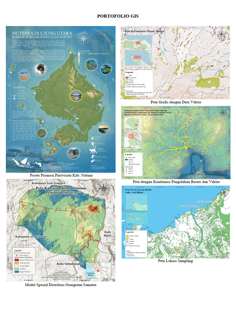 Portofolio Gis | PDF