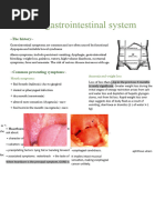 GERD Symptom Rating Scale Guide | PDF | Gastroesophageal Reflux Disease ...