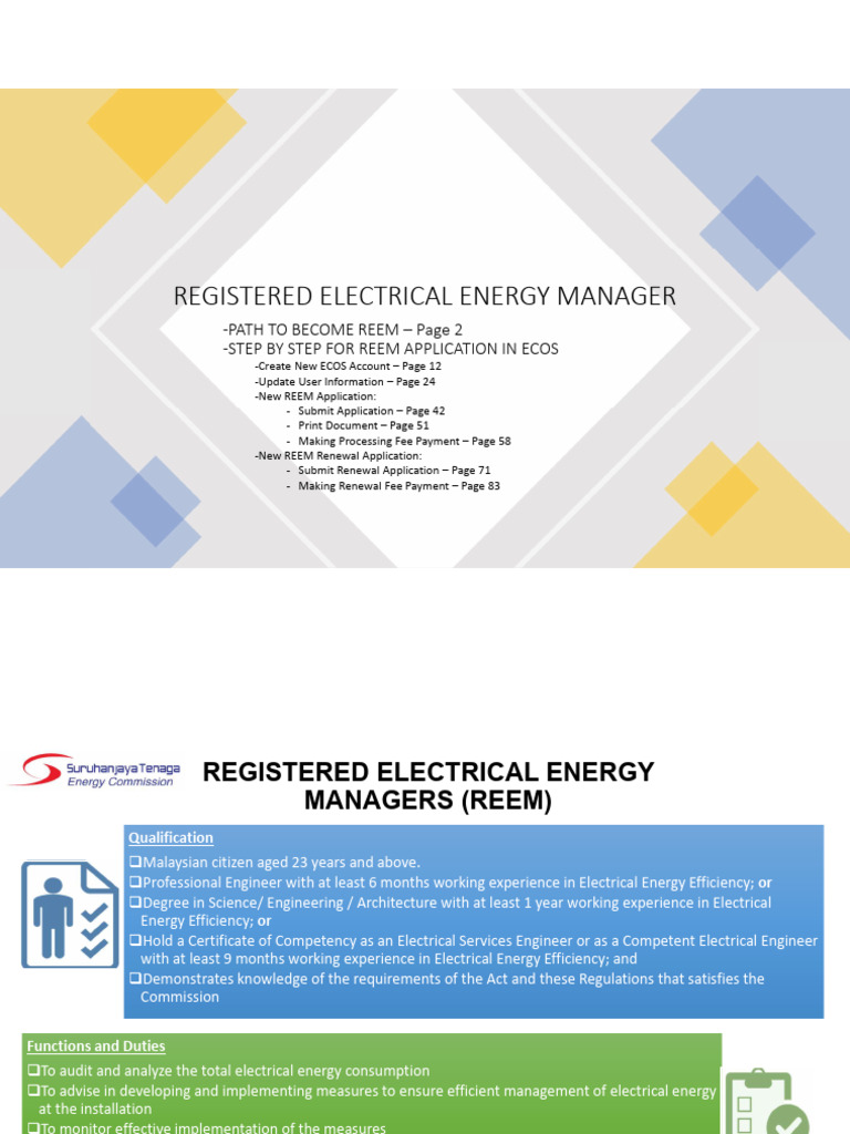Step by Step Guide REEM Renewal Application | PDF | Audit | Engineering
