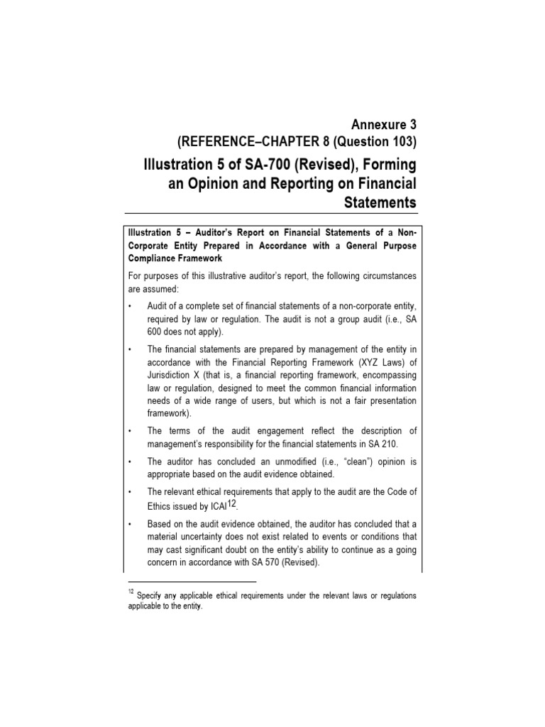 Auditor's Report for Non-Corporate Entity | PDF | Audit | Auditor's Report