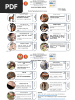 Metacam Dosage Chart for Dogs | PDF | Medical Treatments | Pharmacology