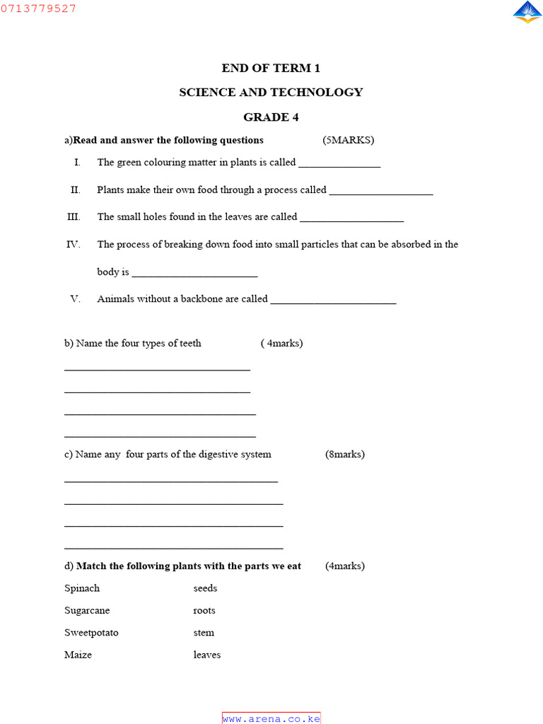 Grade 4 Science | PDF | Foods | Tooth