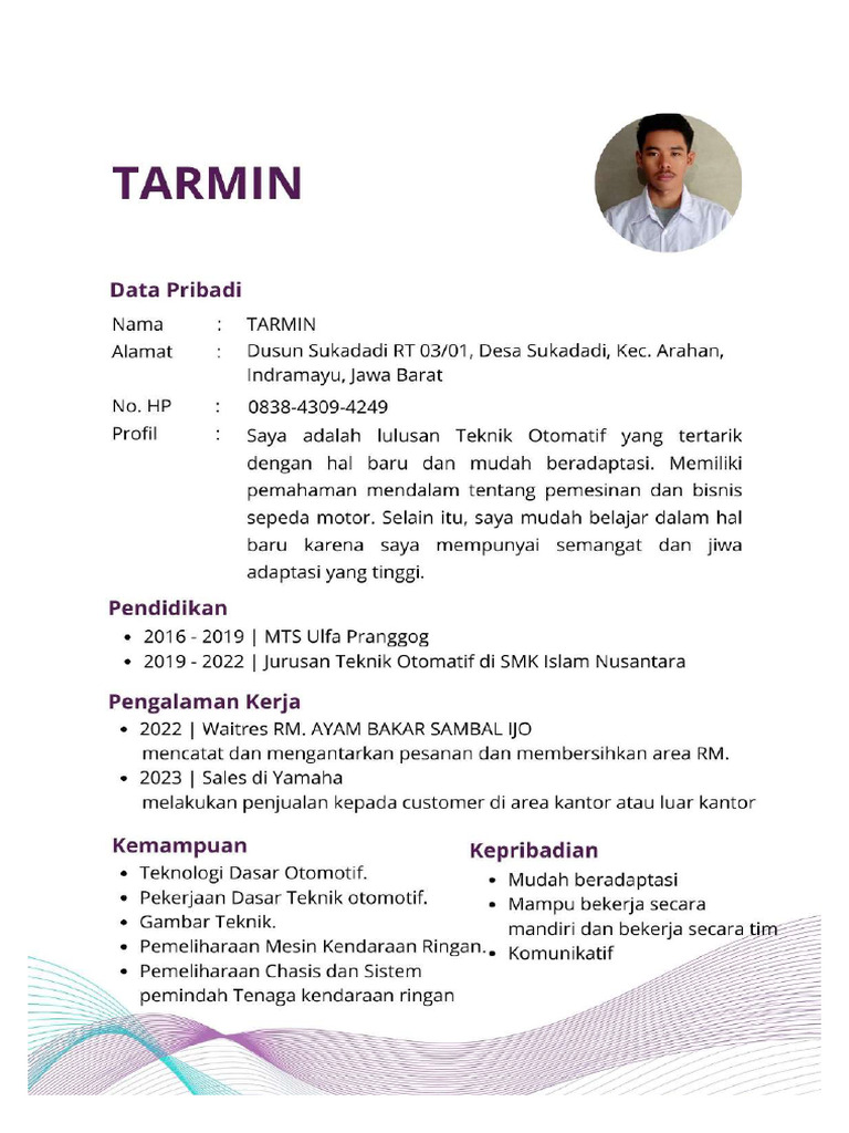 CV Tarmin | PDF