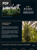 Updated Inflight Speech | PDF | Flight Attendant | Airliner