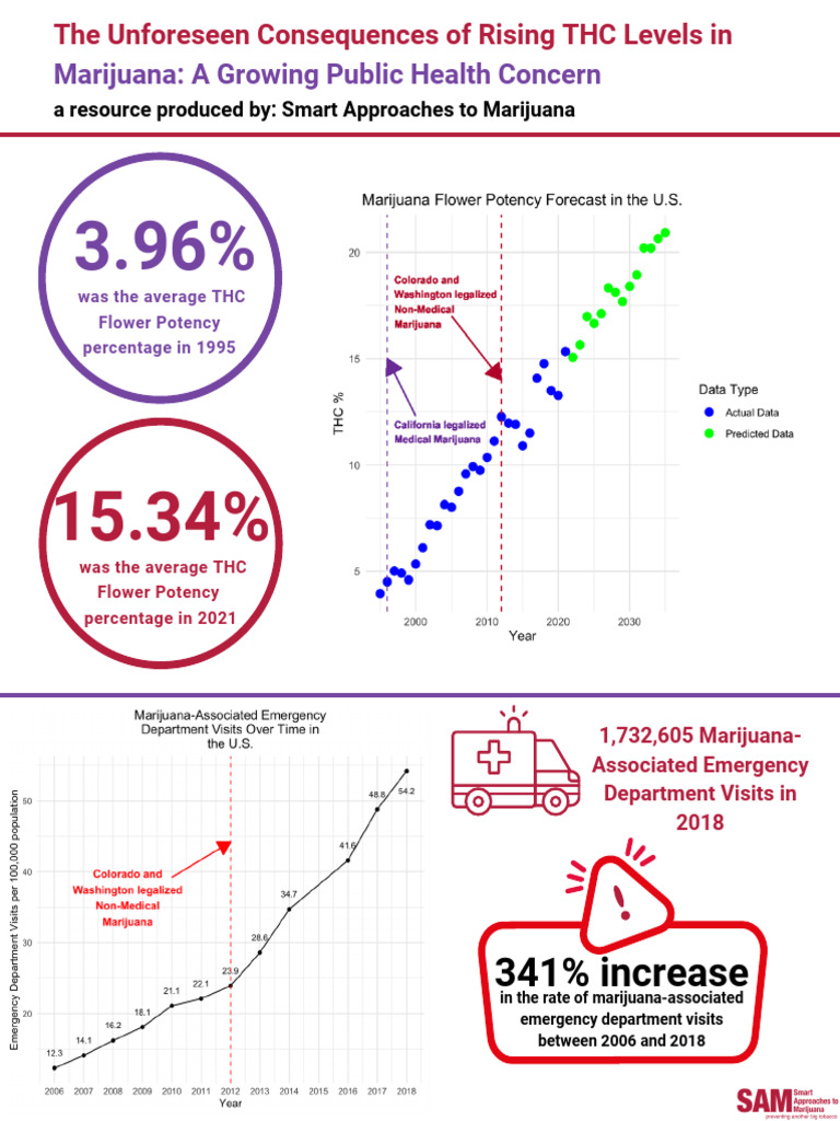 The Unforeseen Consequences of Rising THC Levels in Cannabis A Growing ...