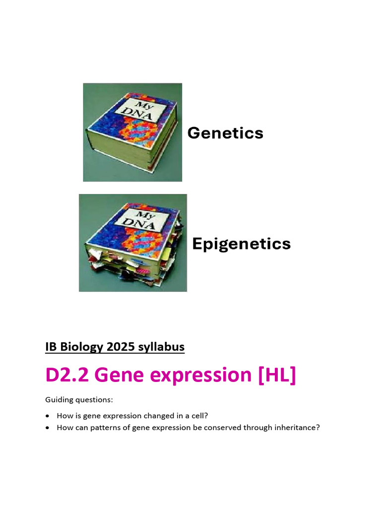 IB Biology HL 2025: Gene Expression Syllabus | PDF | Regulation Of Gene ...